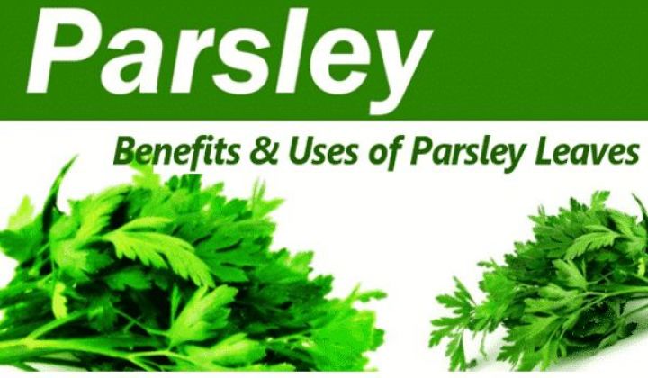 Parsley Leaves: Benefits and Uses of Parsley Leaves - Right Home Remedies